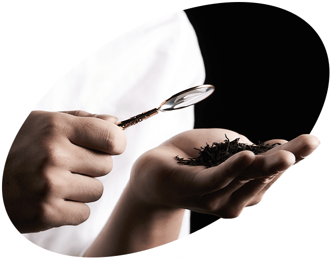 品牌故事-Mateas鮮奶茶沙龍